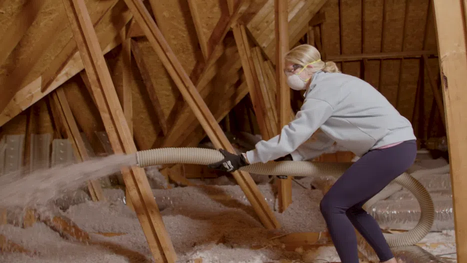 The Healthiest Types of Home Insulation for a Non-Toxic Home - Ecocult®